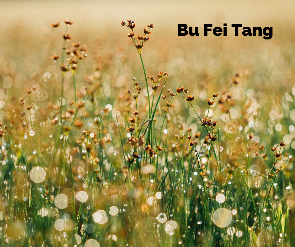 BU FEI TANG-6 – INSUMED